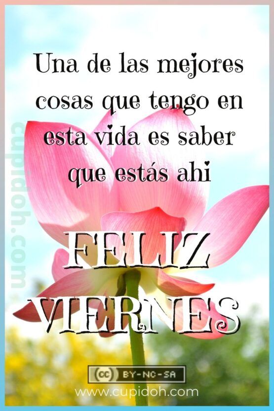 ¡Feliz viernes! Imágenes y frases para enviar - cupidoh.com